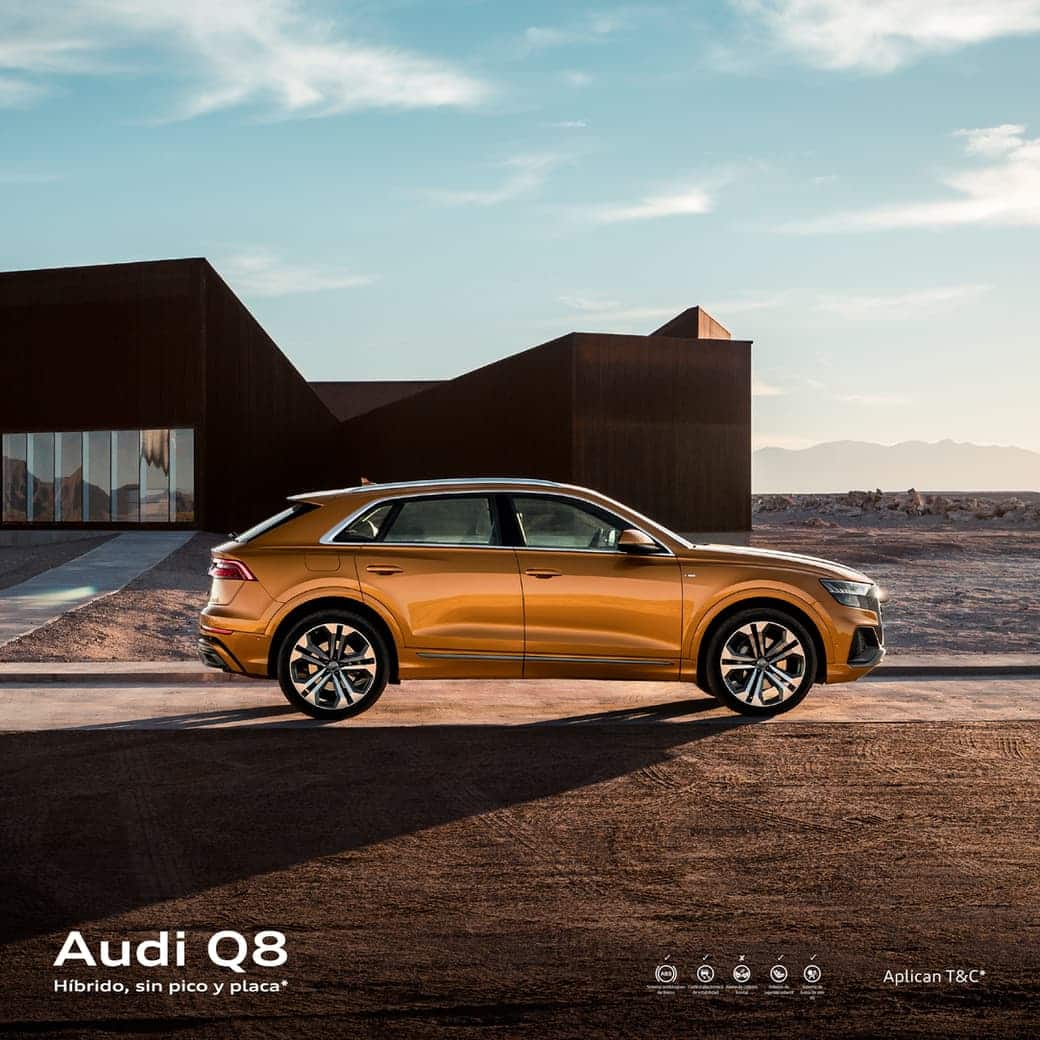 Q8 – Audi – Los Coches